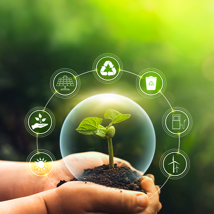 Report di Sostenibilità: CSRD 2024 e compliance normativa